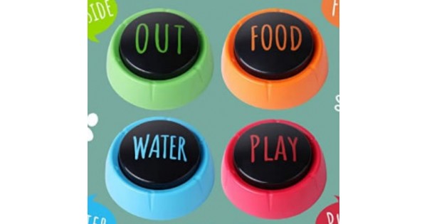 Easy Recorded Voice Button with Logo - Bravamarketing.com | Other Buttons