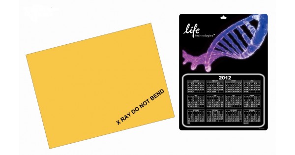 Personalized PromoClear Stock DNA X Ray Calendar - Bravamarketing.com ...